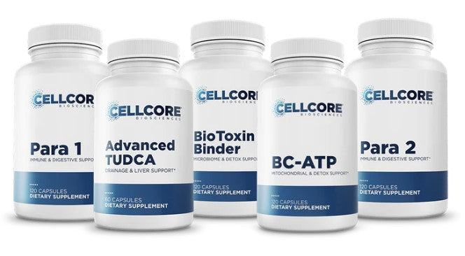 CellCore Biosciences Phase 2: Gut & Immune Support – Total Body ...